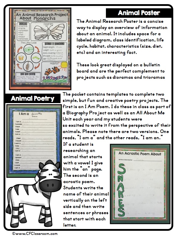 Animal Research Project For Kids At The Elementary Level In 2024
