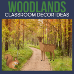 Woodland Classroom Theme Ideas - Clutter-Free Classroom | by Jodi Durgin