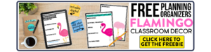 Flamingo Classroom Theme Ideas for Elementary Teachers in 2026 ...