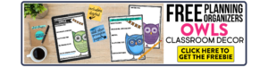 Owl Classroom Theme Ideas for Elementary Teachers in 2026 - Teaching ...
