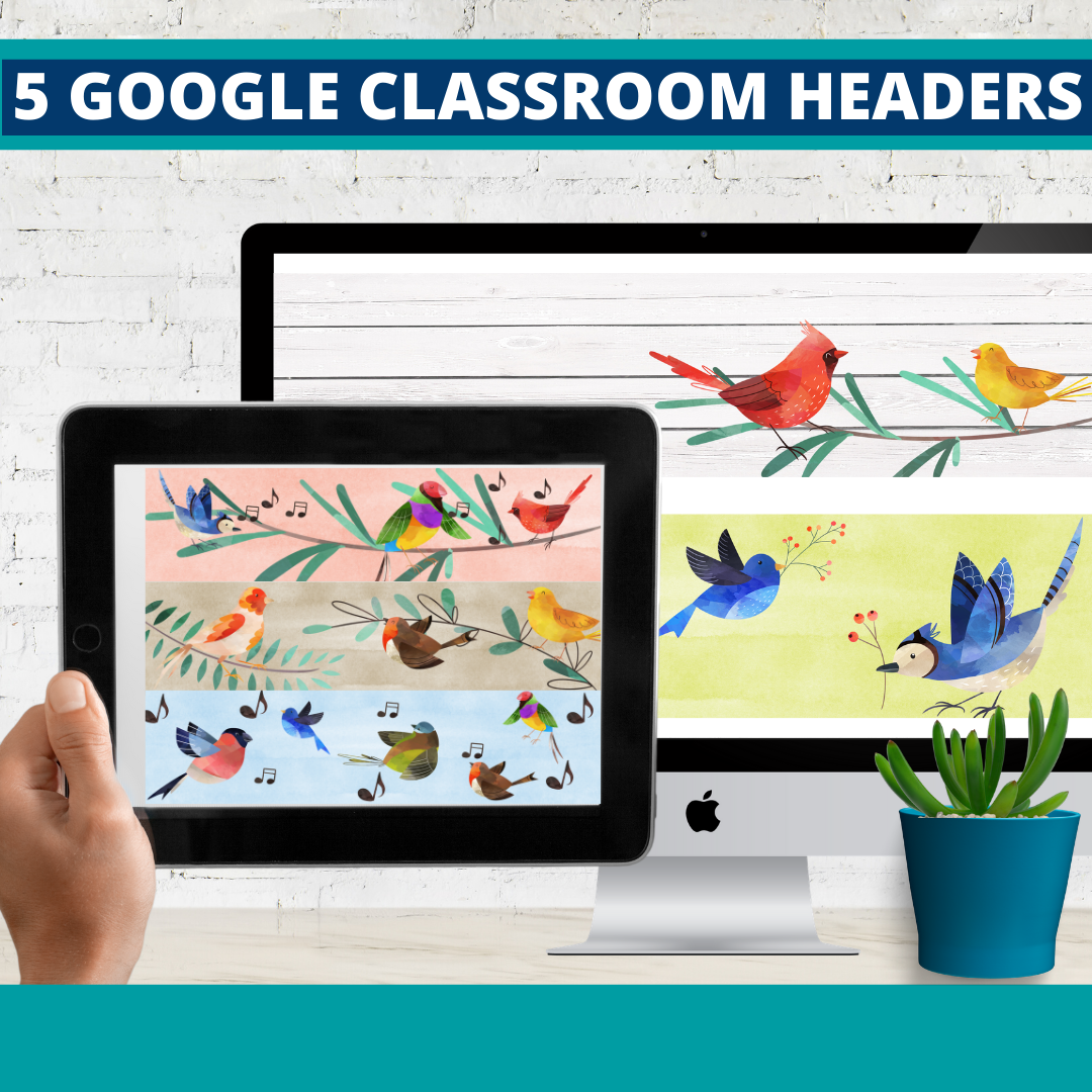 Bird Classroom Theme Ideas | Clutter-Free Classroom | by Jodi Durgin