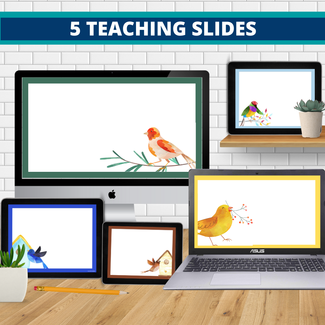 Bird Classroom Theme Ideas | Clutter-Free Classroom | by Jodi Durgin