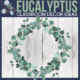 Eucalyptus Classroom Theme Ideas for Elementary Teachers in 2026 ...