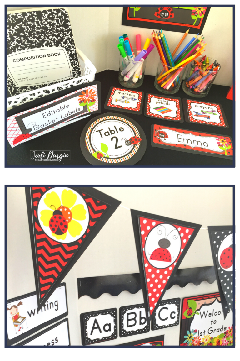 Ladybug Classroom Theme Ideas - Clutter-Free Classroom | by Jodi Durgin