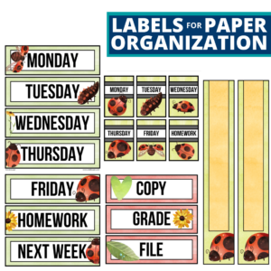 Ladybug Classroom Theme Ideas - Clutter-Free Classroom | by Jodi Durgin
