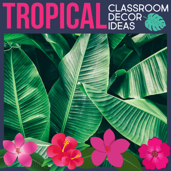 Tropical Classroom Theme Ideas for Elementary Teachers in 2026 ...