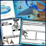 Shark Lady Activities and Lesson Plans for 2025 - Teaching with Jodi ...