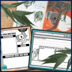 The Koala Who Could Activities and Lesson Plans for 2025 - Teaching ...