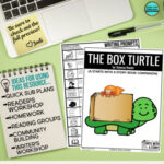 The Box Turtle Activities and Lesson Plans for 2025 - Teaching with ...