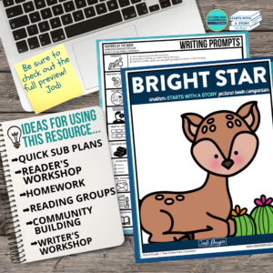 Bright Star Activities and Lesson Plans for 2024 - Teaching with Jodi ...