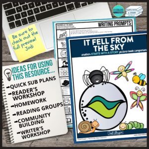 It Fell From the Sky Activities and Lesson Plans for 2025 - Teaching ...