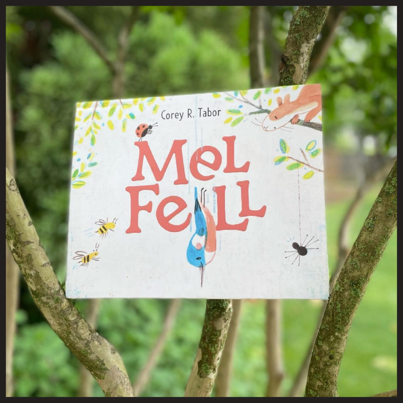 Mel Fell Activities and Lesson Plans for 2026 - Teaching with Jodi ...