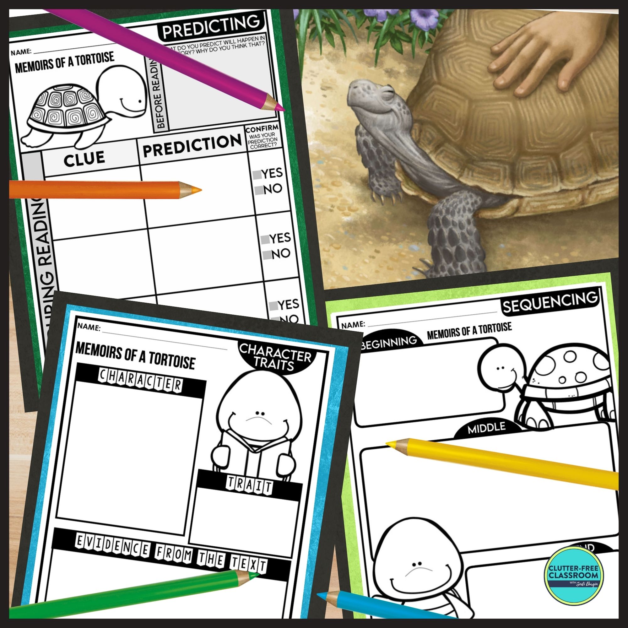 Memoirs of a Tortoise Activities and Lesson Plans for 2025 - Teaching ...
