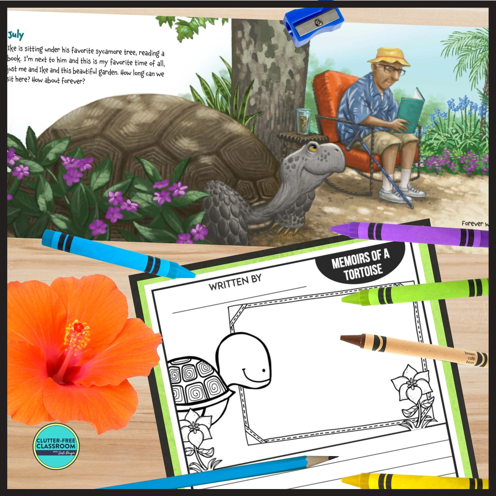 Memoirs of a Tortoise Activities and Lesson Plans for 2025 - Teaching ...