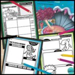 How to Catch a Mermaid Activities and Lesson Plans for 2025 - Teaching ...