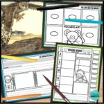 The Lion and the Mouse Activities and Lesson Plans for 2025 - Teaching ...