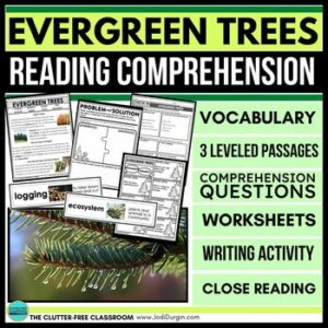 Christmas Reading Comprehension Activities for 2nd, 3rd, and 4th Grade ...