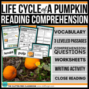 Pumpkin Reading Comprehension Activities for 2nd, 3rd, and 4th Grade ...