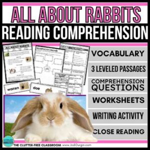 Rabbit Activities for Elementary Students in 2026 - Teaching with Jodi ...