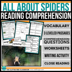 Spider Reading Comprehension Activities for 2nd, 3rd, and 4th Grade ...