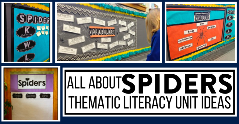 Spider Activities for Elementary Students in 2nd, 3rd & 4th grade ...