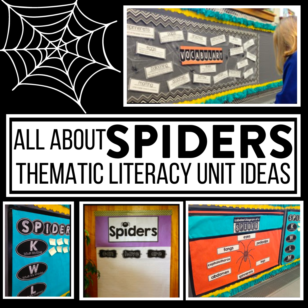 Spider Activities for Elementary Students in 2nd, 3rd & 4th grade ...