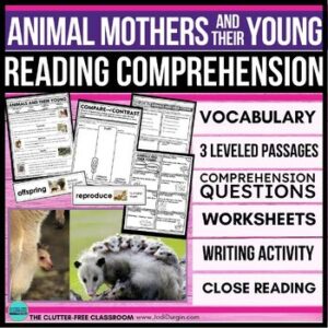 Mother's Day Reading Comprehension Activities for 2nd, 3rd, and 4th ...