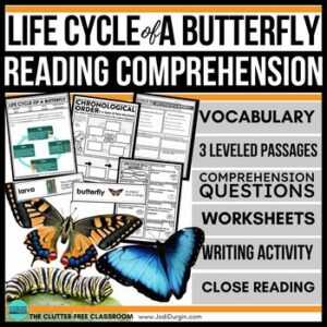 Butterfly Reading Comprehension Activities for 2nd, 3rd, and 4th Grade ...