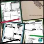 The Giving Tree Activities and Lesson Plans for 2025 - Teaching with ...