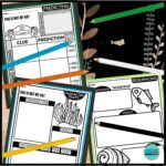 This is Not My Hat Activities and Lesson Plans for 2025 - Teaching with ...