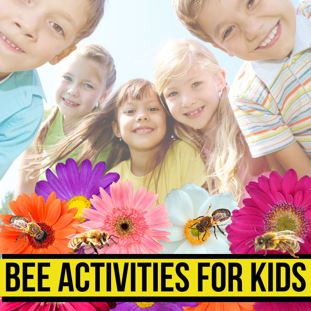 Bee Activities for Kids at the Elementary Level in 2025 - Teaching with ...