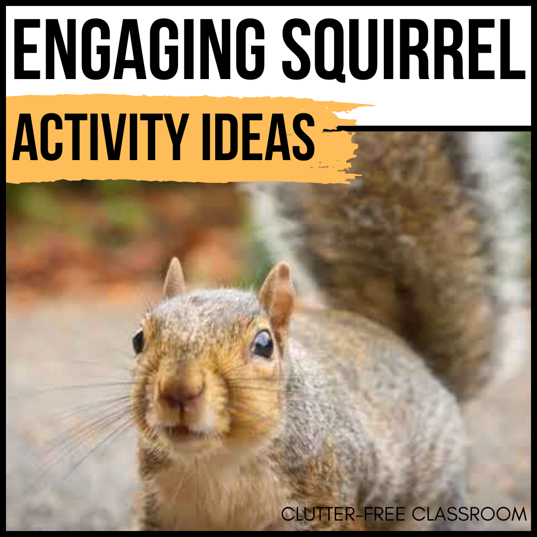 Squirrel Activities for Kids at the Elementary Level in 2026 - Teaching ...