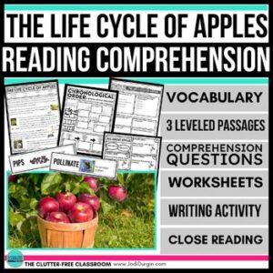 Apple Reading Comprehension Activities for 2nd, 3rd, and 4th Grade ...