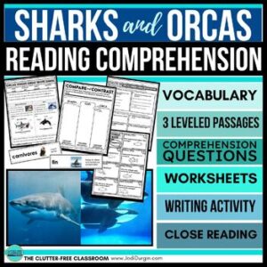 Sharks Reading Comprehension Activities for 2nd, 3rd, and 4th Grade ...