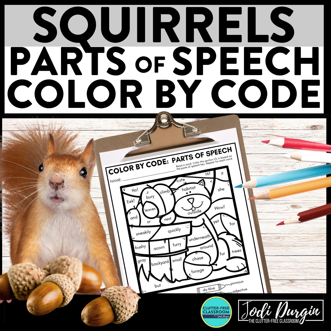 Squirrel Activities for Kids at the Elementary Level in 2026 - Teaching ...