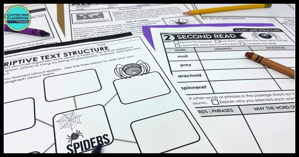 Spider Reading Comprehension Activities for 2nd, 3rd, and 4th Grade ...