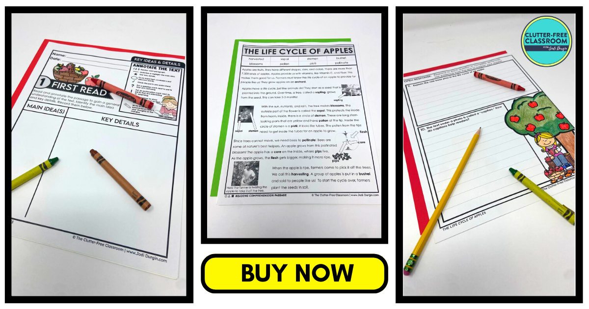 Apple Reading Comprehension Activities for 2nd, 3rd, and 4th Grade ...