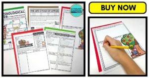 Apple Reading Comprehension Activities for 2nd, 3rd, and 4th Grade ...