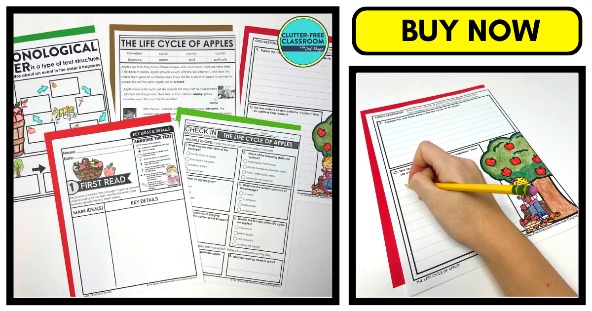 Apple Reading Comprehension Activities for 2nd, 3rd, and 4th Grade ...