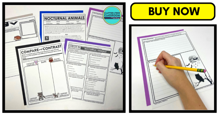 Bats Reading Comprehension Activities for 2nd, 3rd, and 4th Grade ...