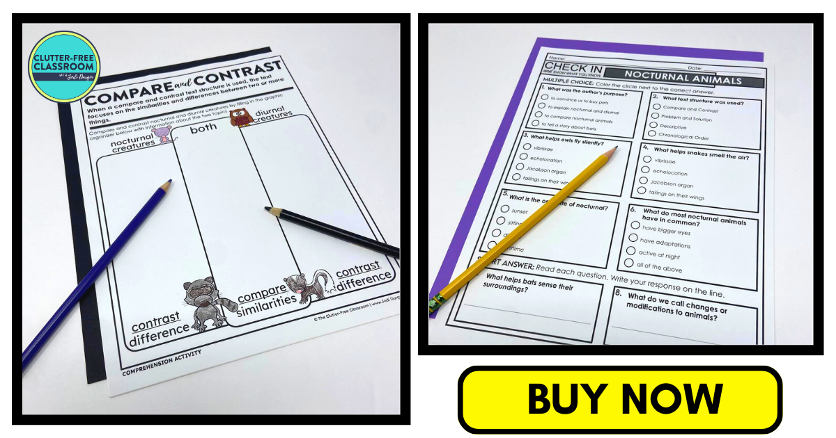 Bats Reading Comprehension Activities for 2nd, 3rd, and 4th Grade ...