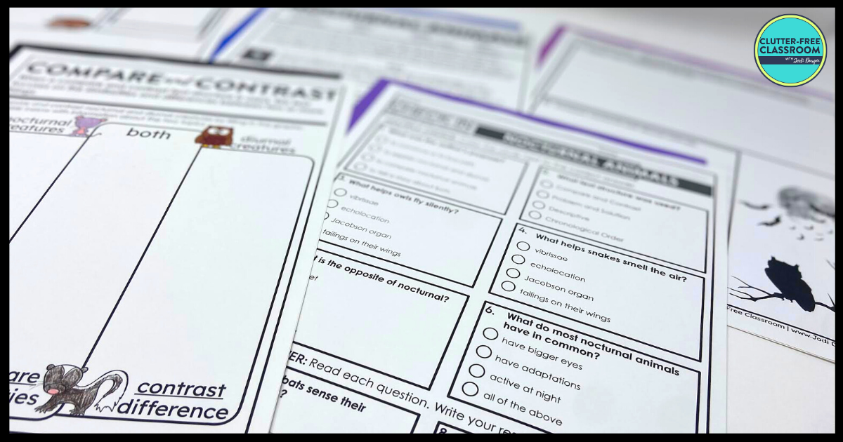 Bats Reading Comprehension Activities for 2nd, 3rd, and 4th Grade ...