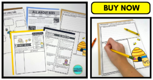 Bee Reading Comprehension Activities for 2nd, 3rd, and 4th Grade ...