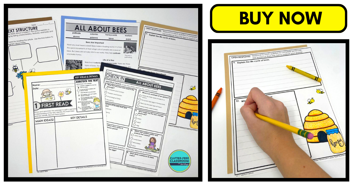 Bee Reading Comprehension Activities for 2nd, 3rd, and 4th Grade ...