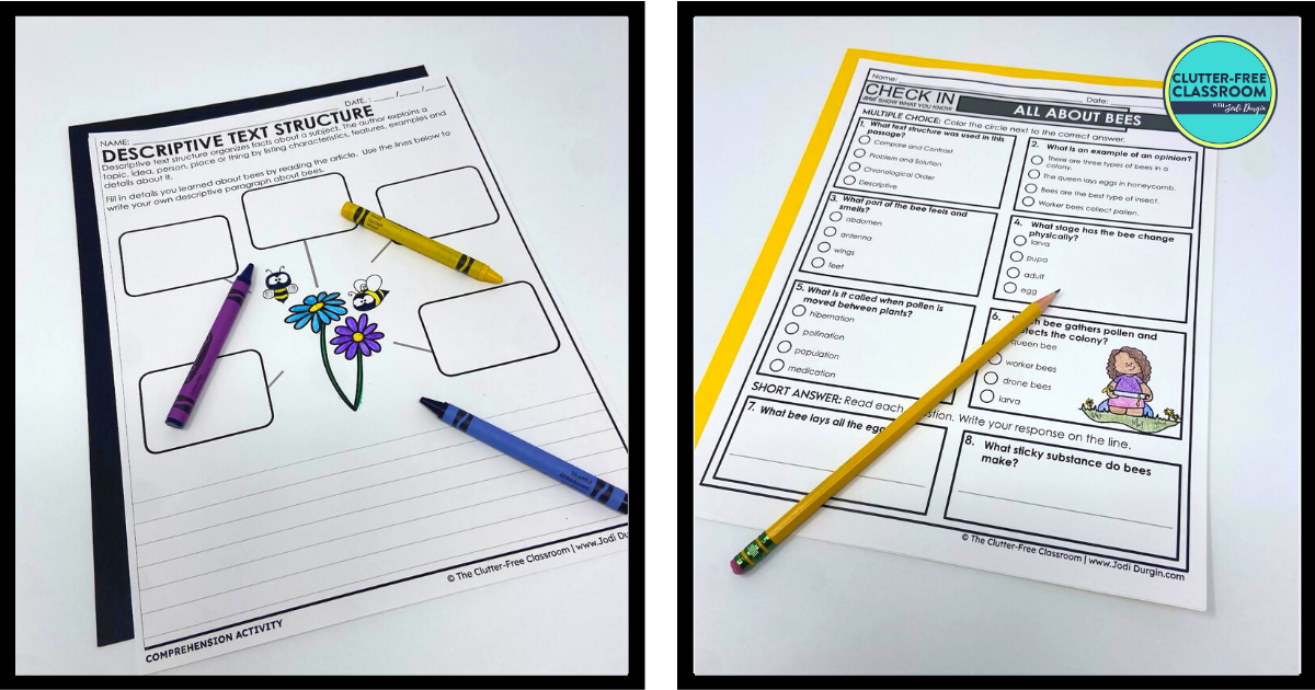 Bee Reading Comprehension Activities for 2nd, 3rd, and 4th Grade ...