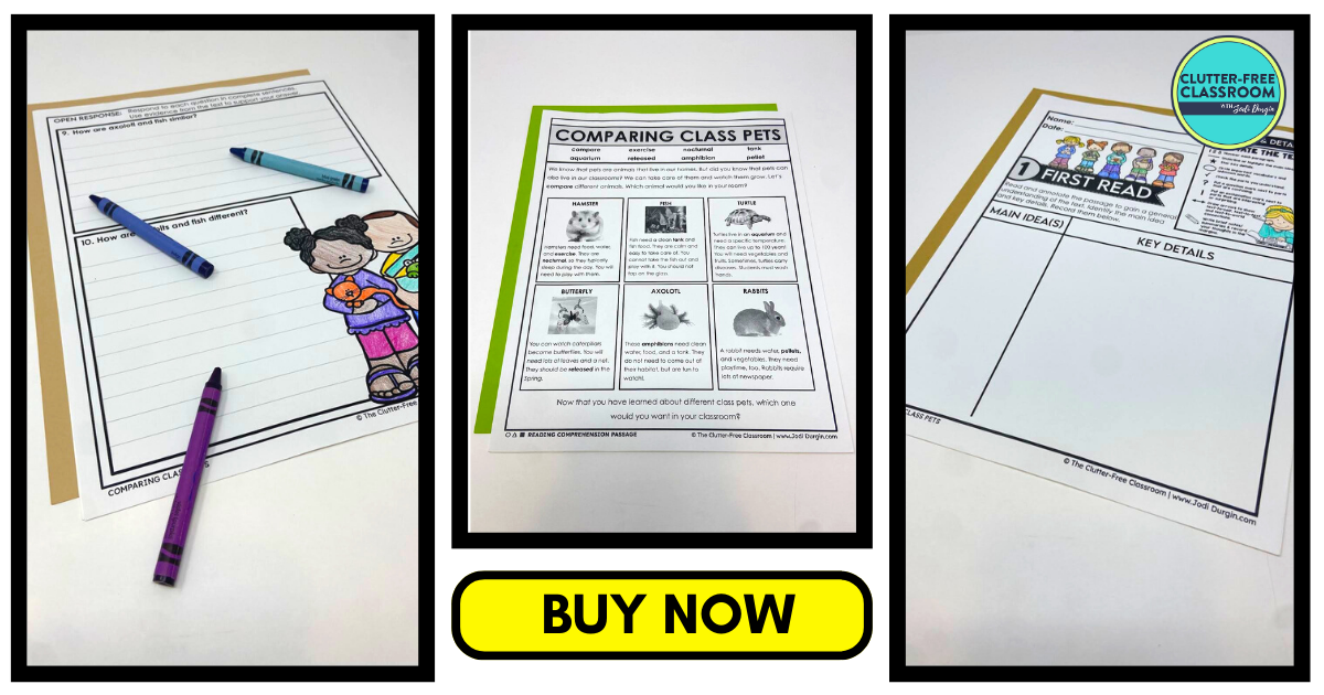 Class Pet Activities for 2nd, 3rd, and 4th Grade - Teaching with Jodi ...