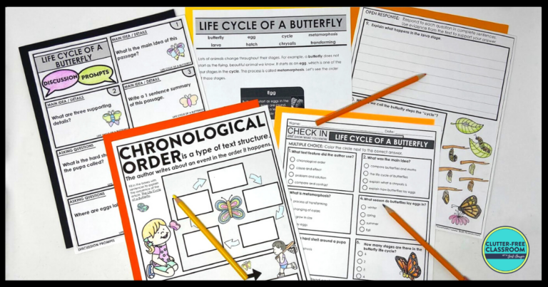 Butterfly Reading Comprehension Activities for 2nd, 3rd, and 4th Grade ...