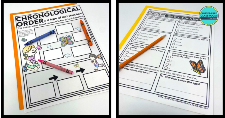 Butterfly Reading Comprehension Activities for 2nd, 3rd, and 4th Grade ...
