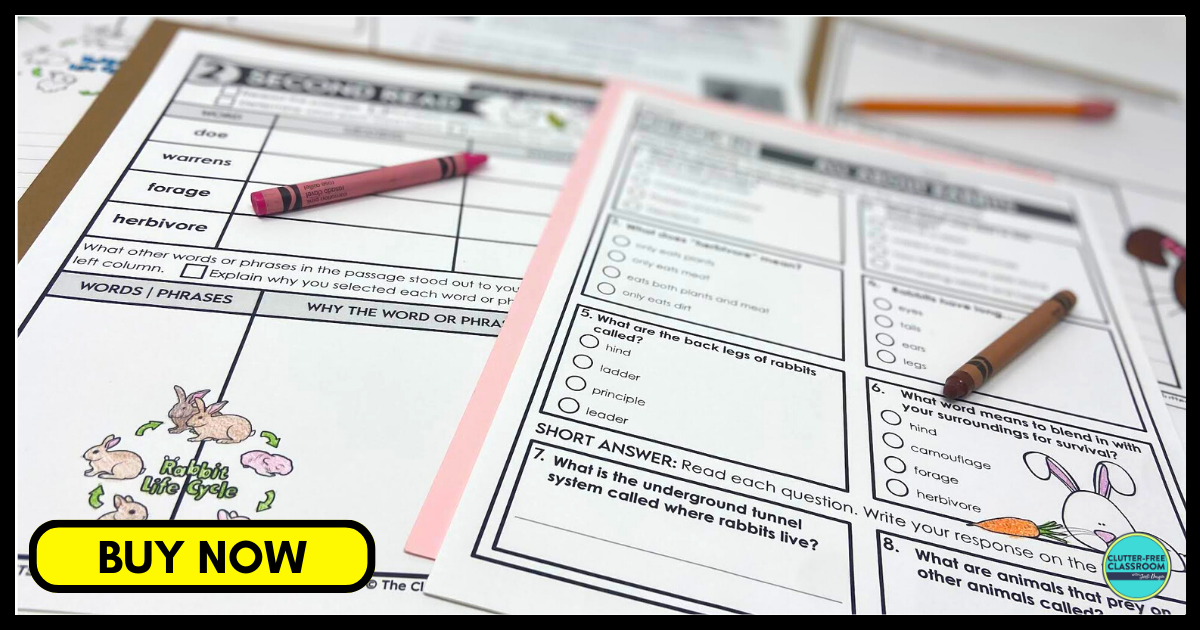 Easter Reading Comprehension Activities for 2nd, 3rd, and 4th Grade ...