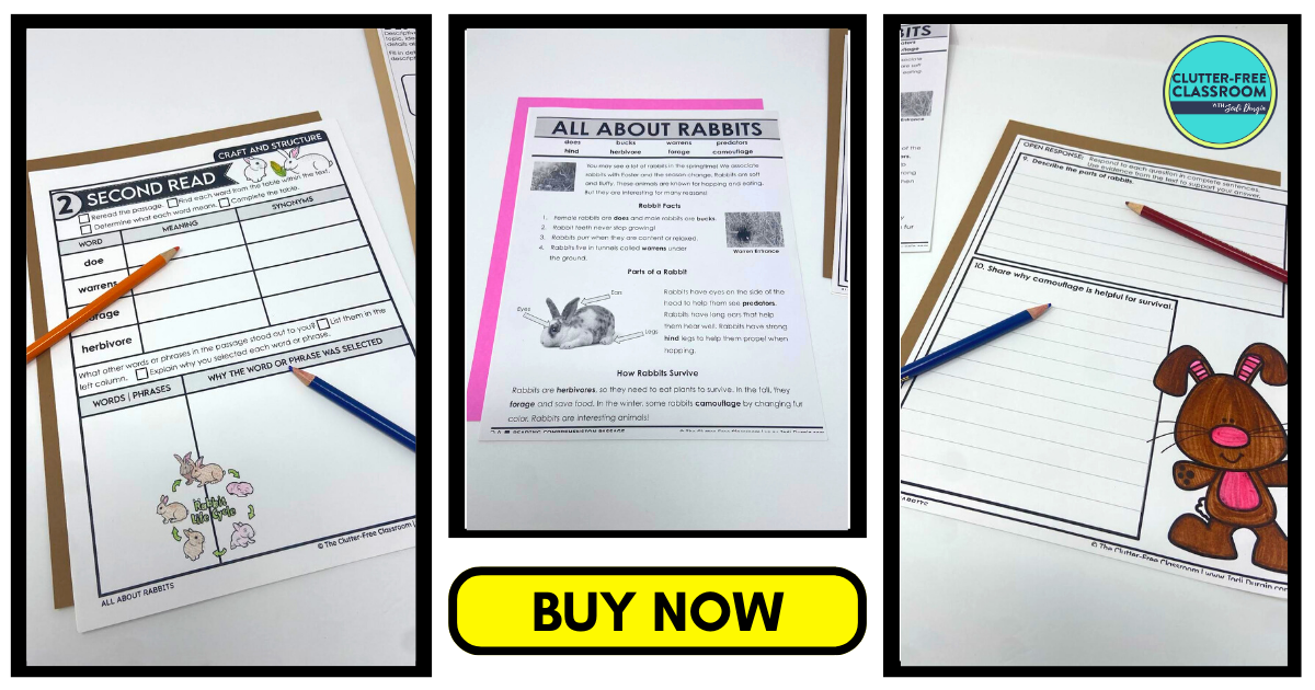 Easter Reading Comprehension Activities for 2nd, 3rd, and 4th Grade ...